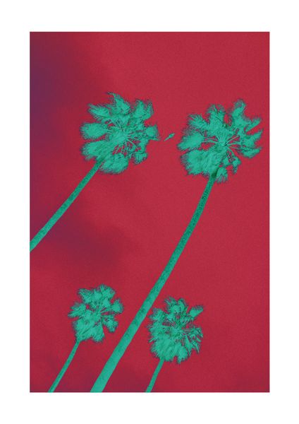 Purchase Palms Inverted Poster Online | DearSam.eu