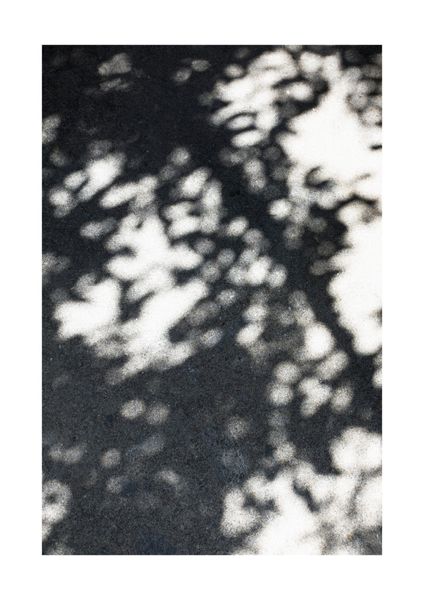 Purchase Sun Shadow Poster Online | DearSam.eu